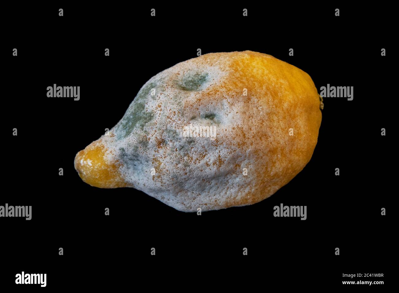 One isolated rotten lemon against a black background, old fruit long ...