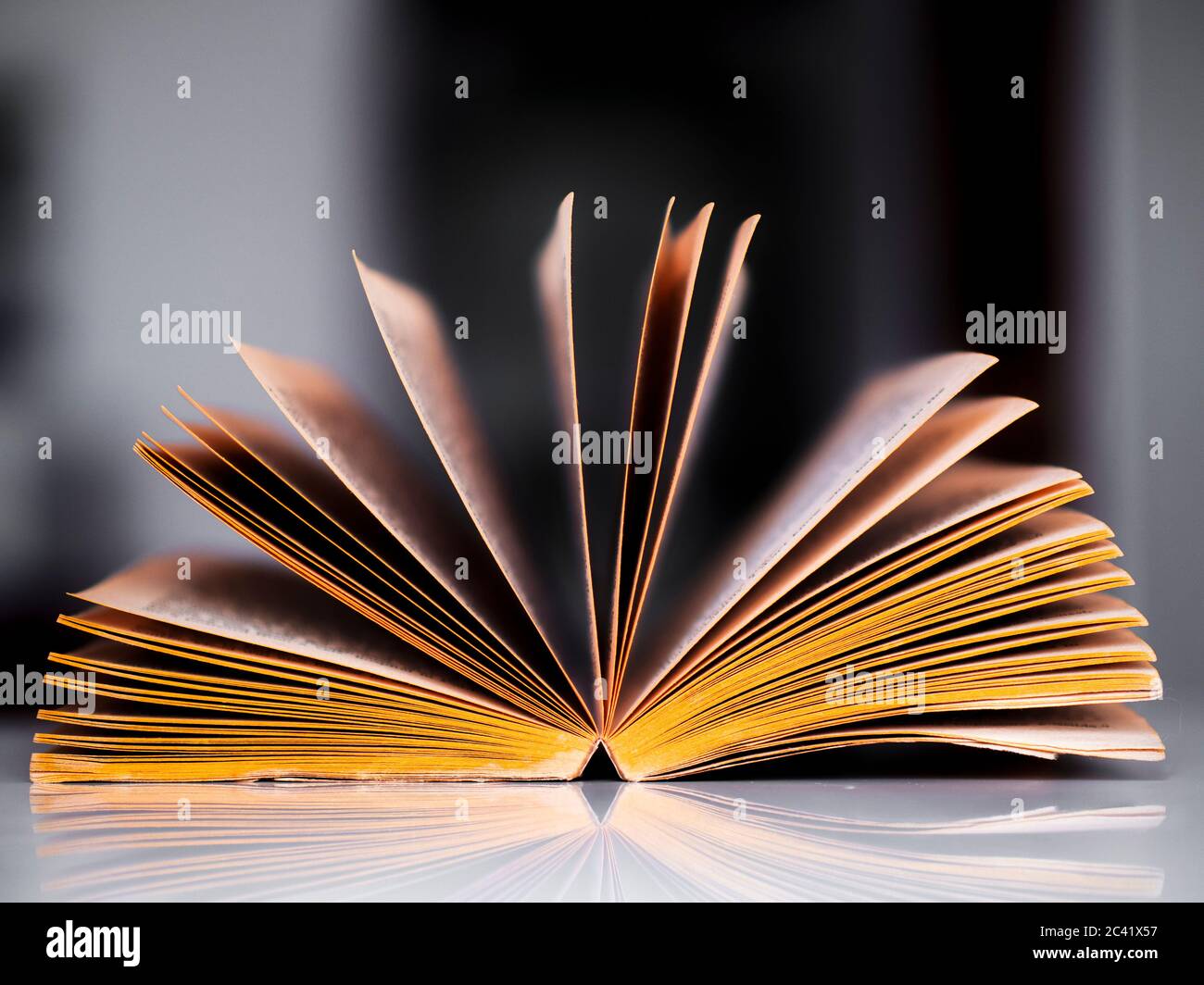 Open book with yellowed old pages Stock Photo - Alamy