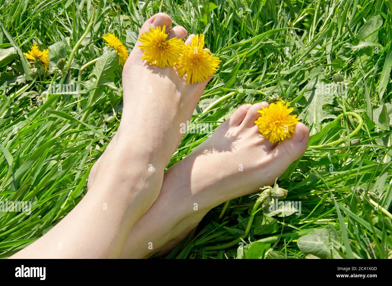 Female toes grass hi-res stock photography and images - Alamy