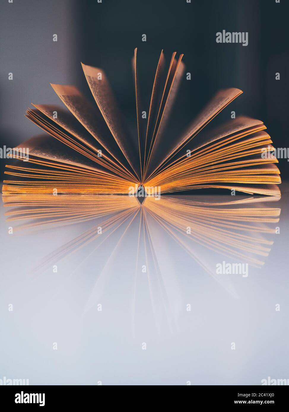 Open book with yellowed old pages Stock Photo - Alamy