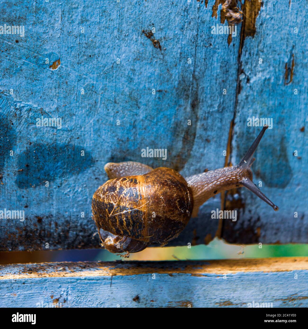 Antenna box hi-res stock photography and images - Alamy