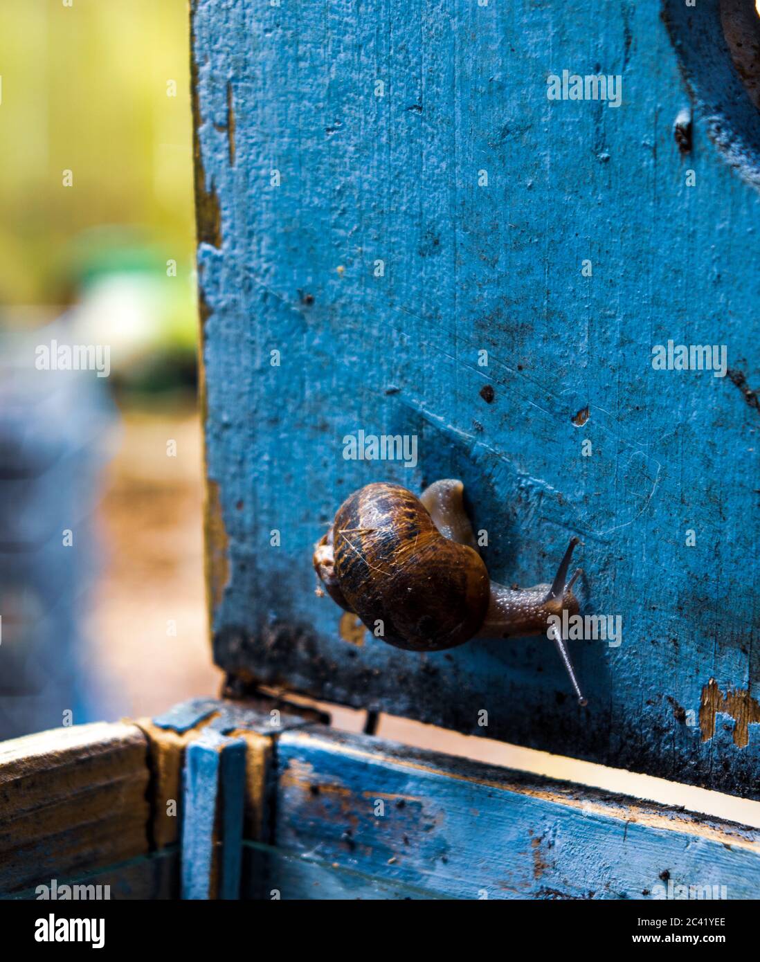 Antenna box hi-res stock photography and images - Alamy