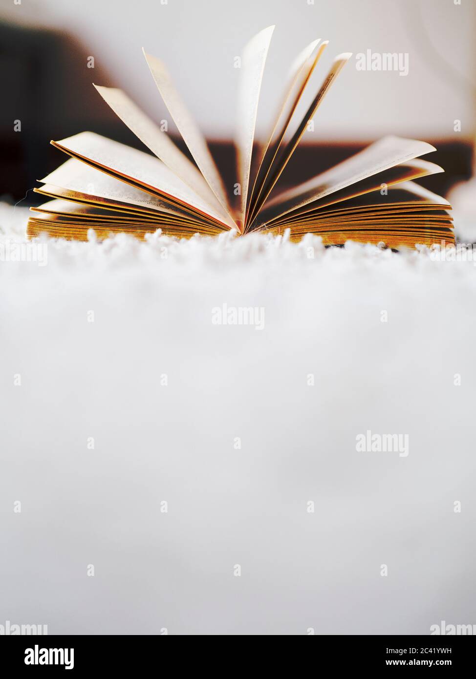 Open book with yellowed old pages Stock Photo - Alamy