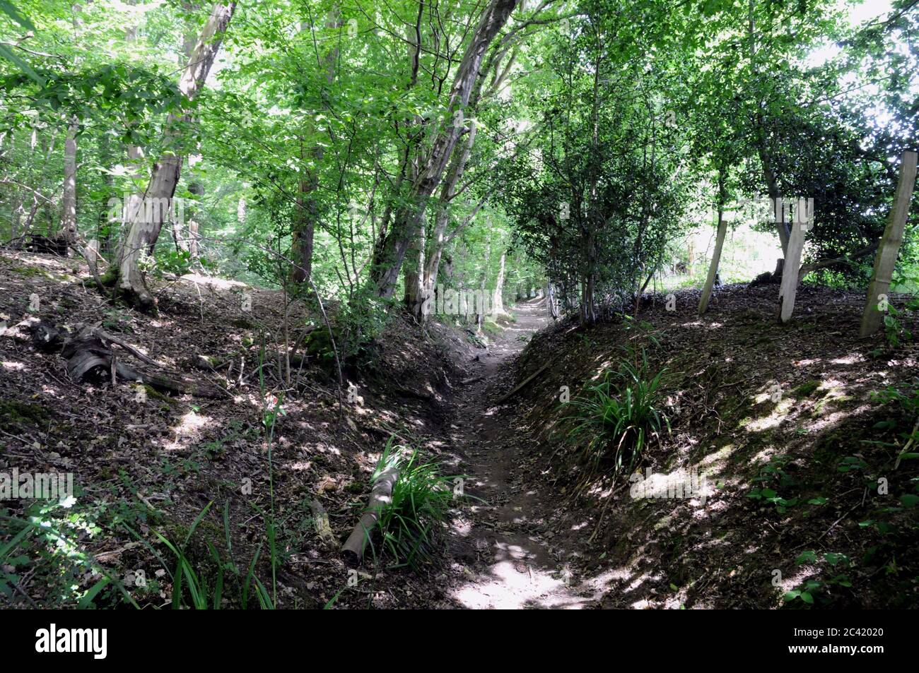 A path through the High Wealden landscape of East Sussex. Many of the ...