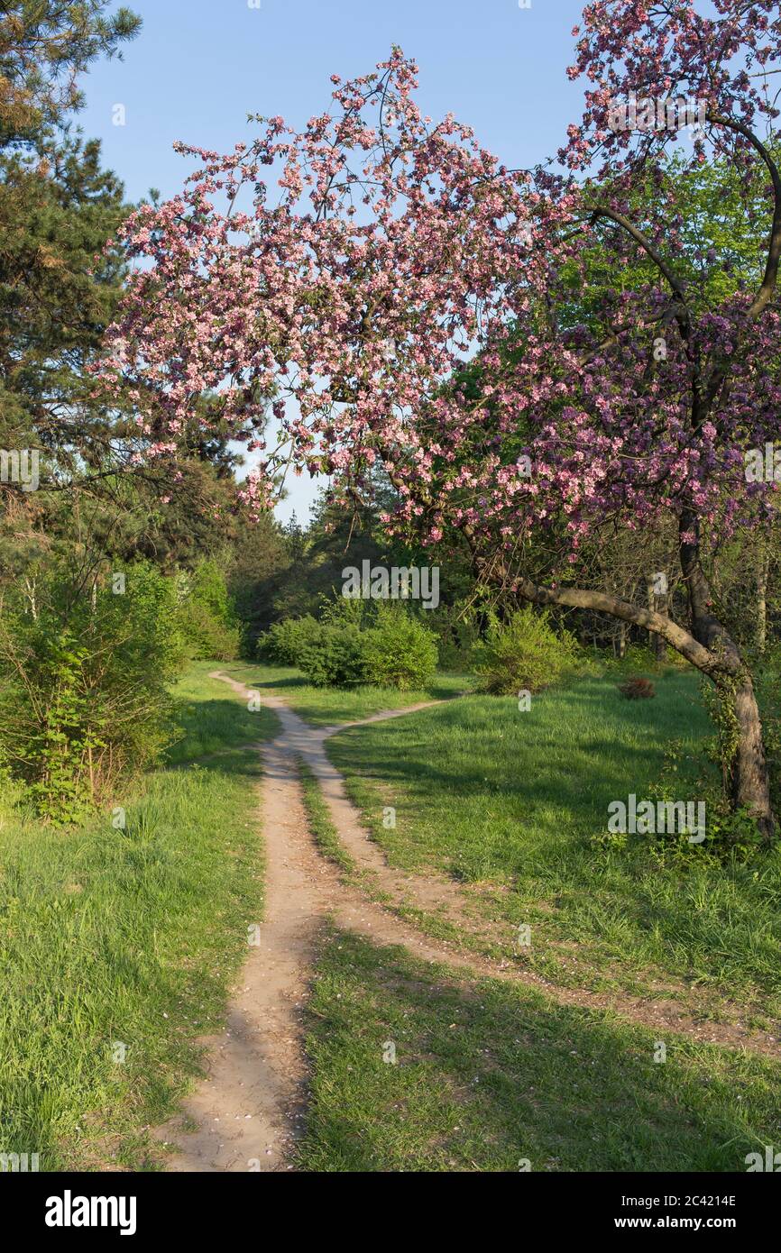 Great awakening hi-res stock photography and images - Alamy