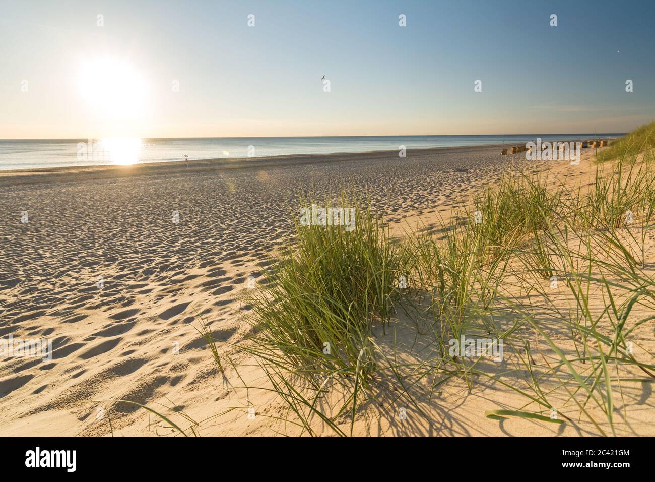 Sunset with dune grass hi-res stock photography and images - Alamy