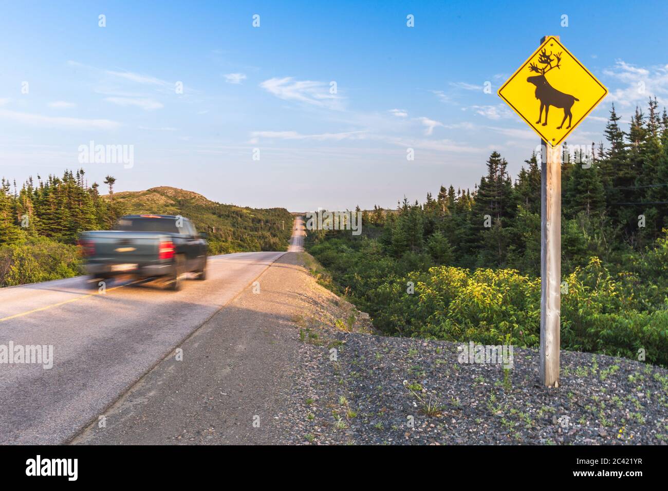 Moose crossing road sign canada hi-res stock photography and images - Alamy