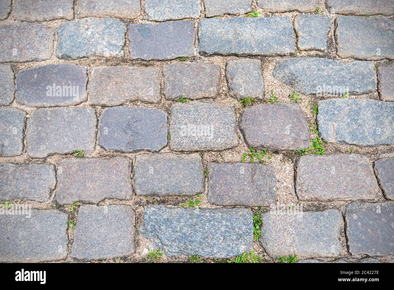 Stone pavement or road in old town as background, vintage cobblestone ...