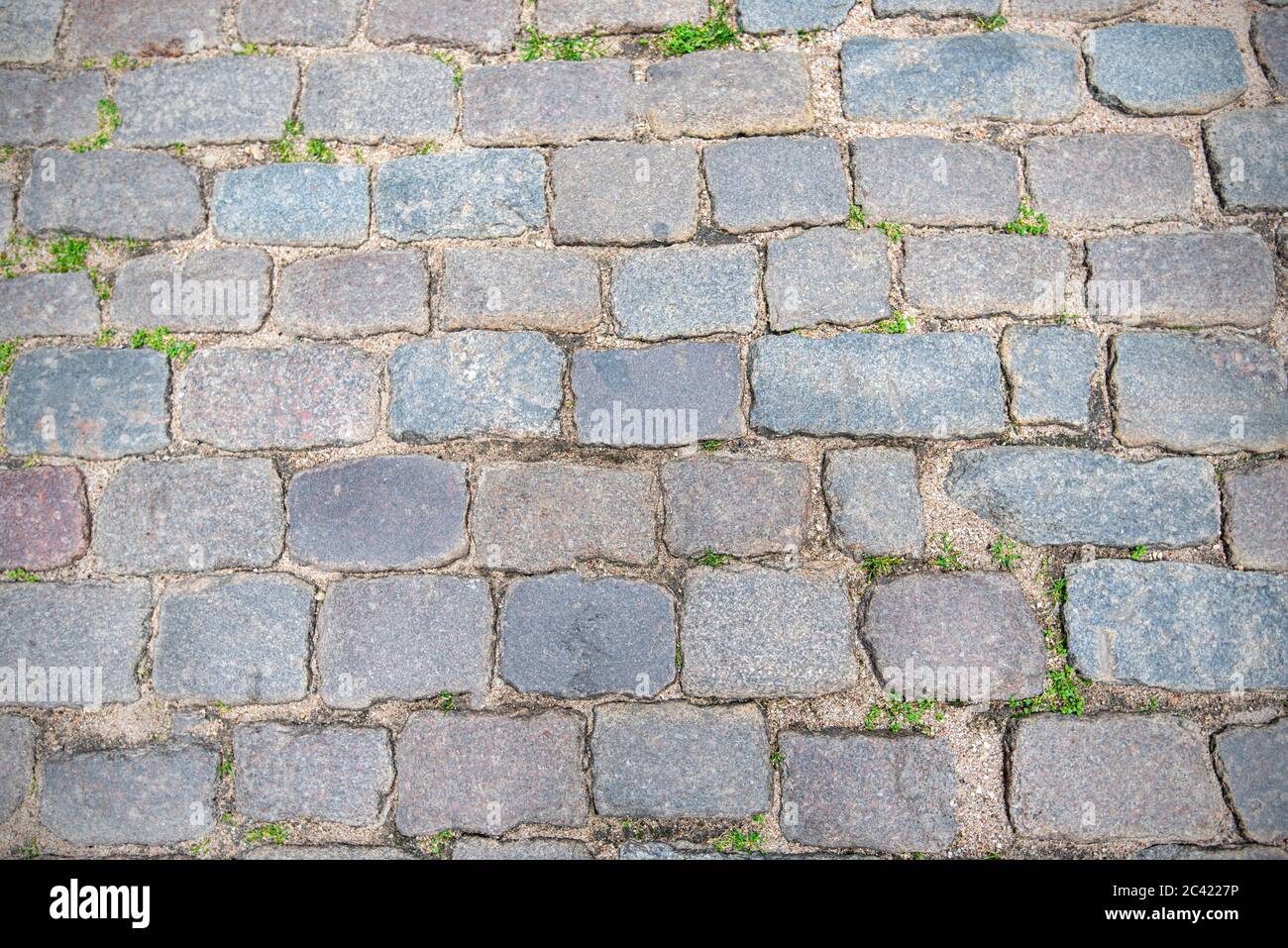 Stone pavement or road in old town as background, vintage cobblestone ...