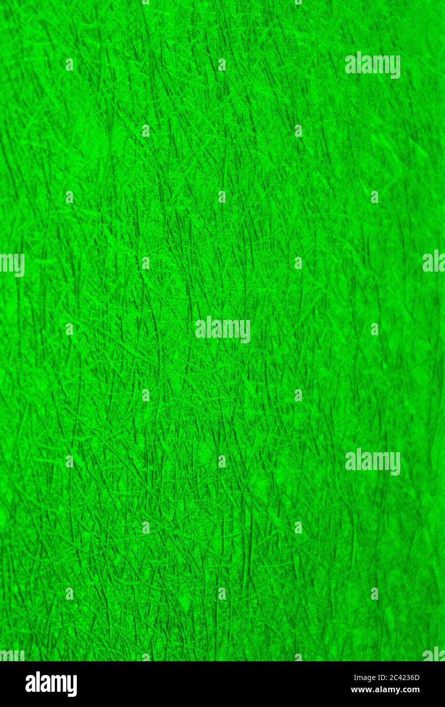 light green texture background for graphic design Stock Photo - Alamy