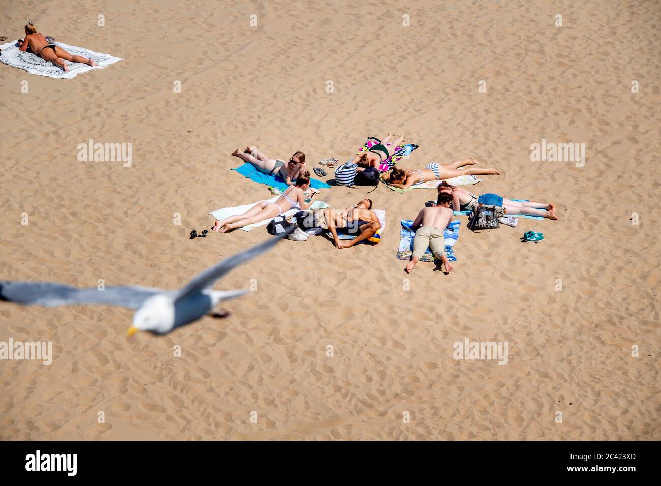 People enjoying the sun and the warm weather during the heat wave at a ...