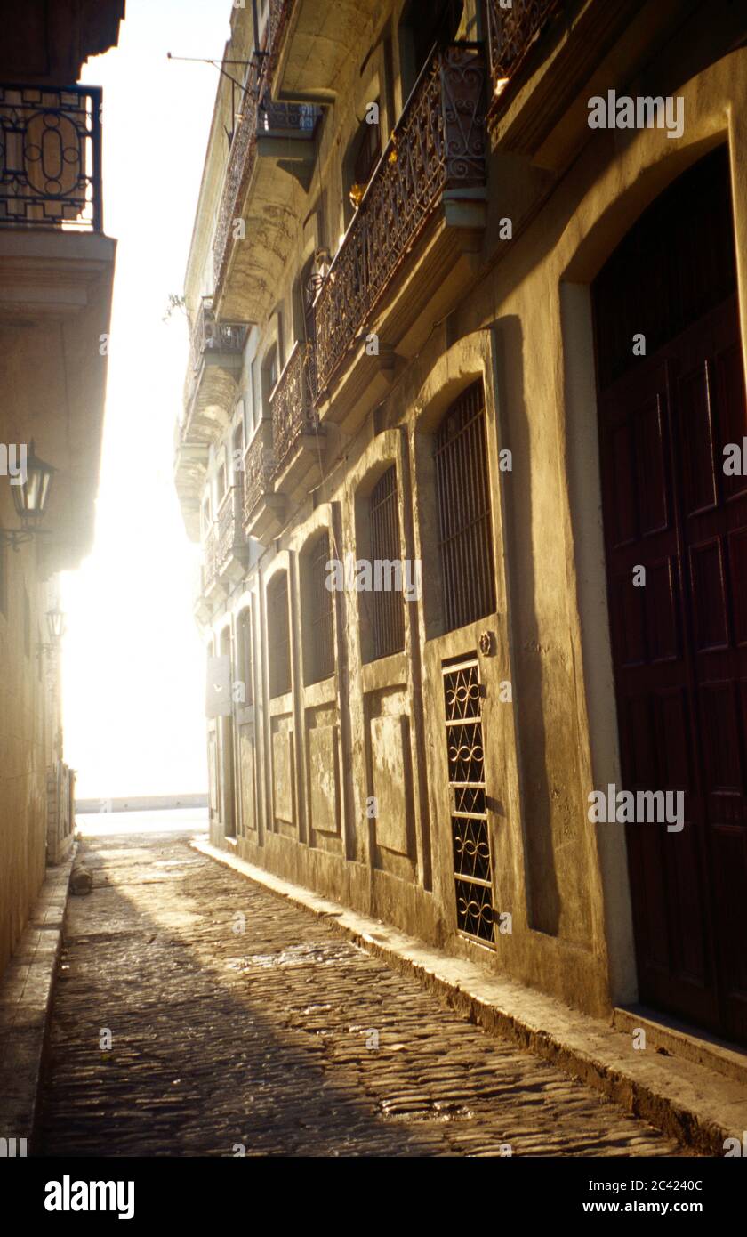 Houses in the rising sun Stock Photo - Alamy