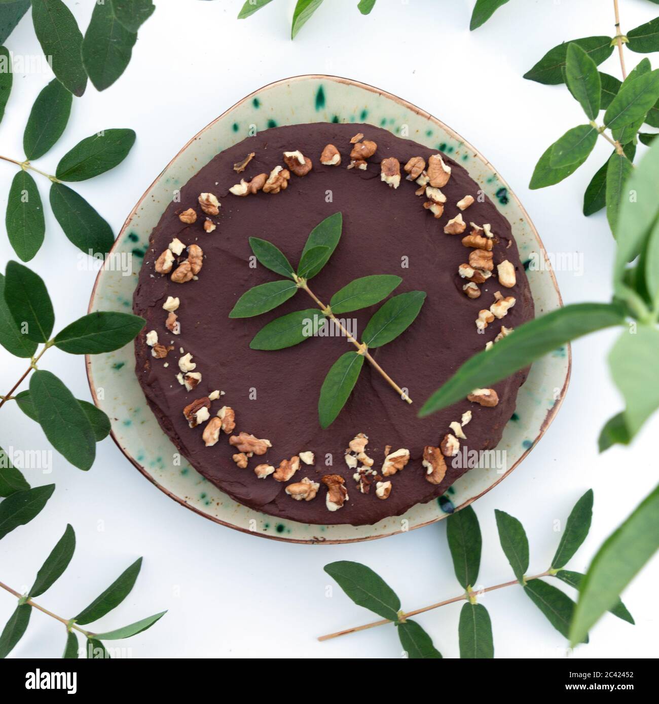 Homemade Chocolate Cake. Traditional Croatian cake - Skradinsky cake ...