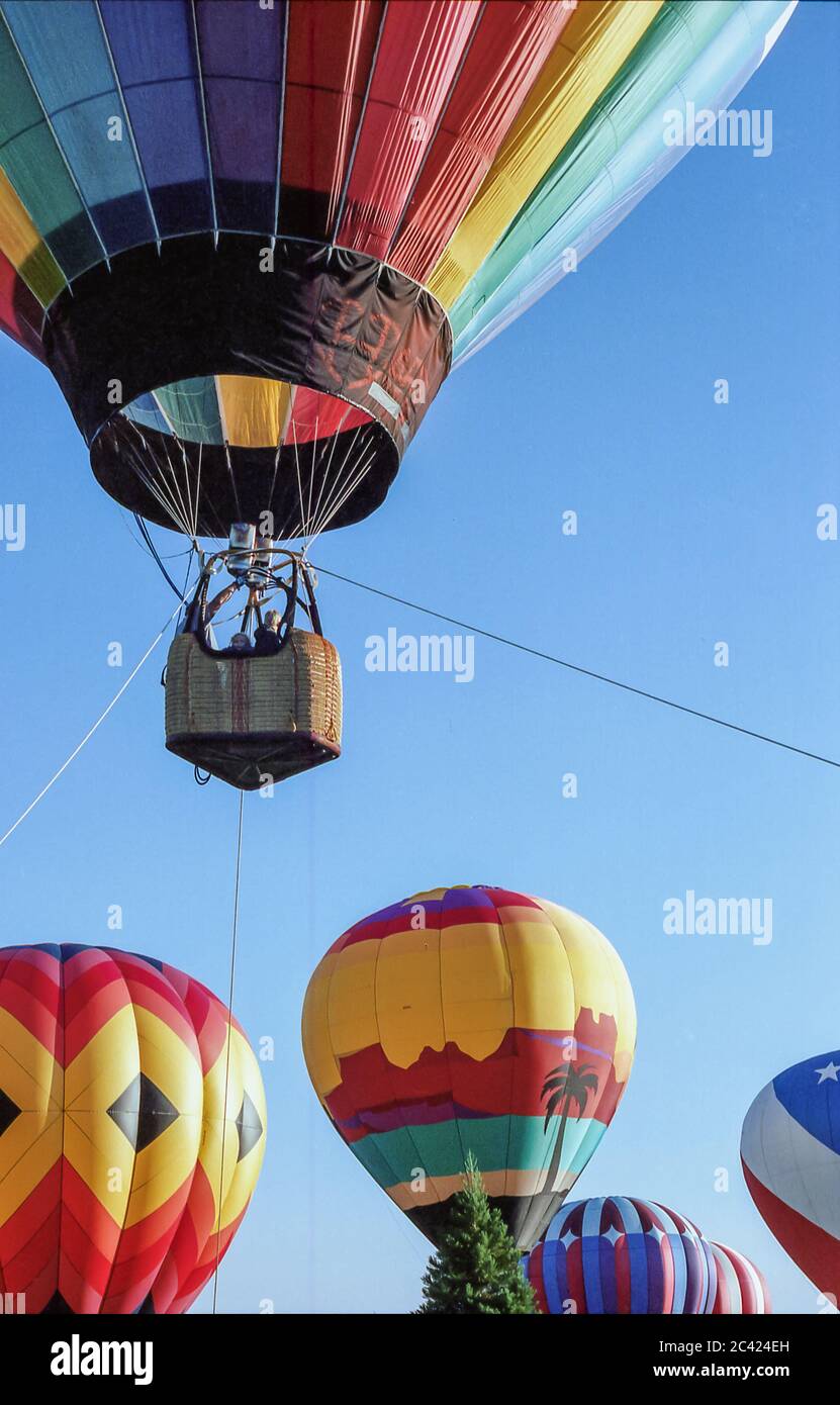Hot Air Balloons in Summer Stock Photo - Alamy