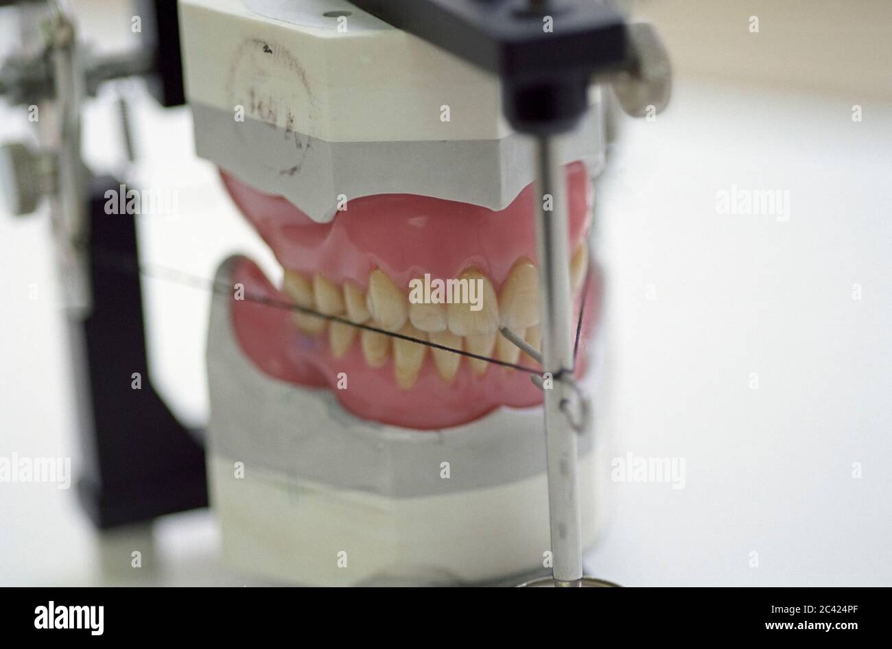 Human dentition in a plaster cast - impression - medicine Stock Photo ...