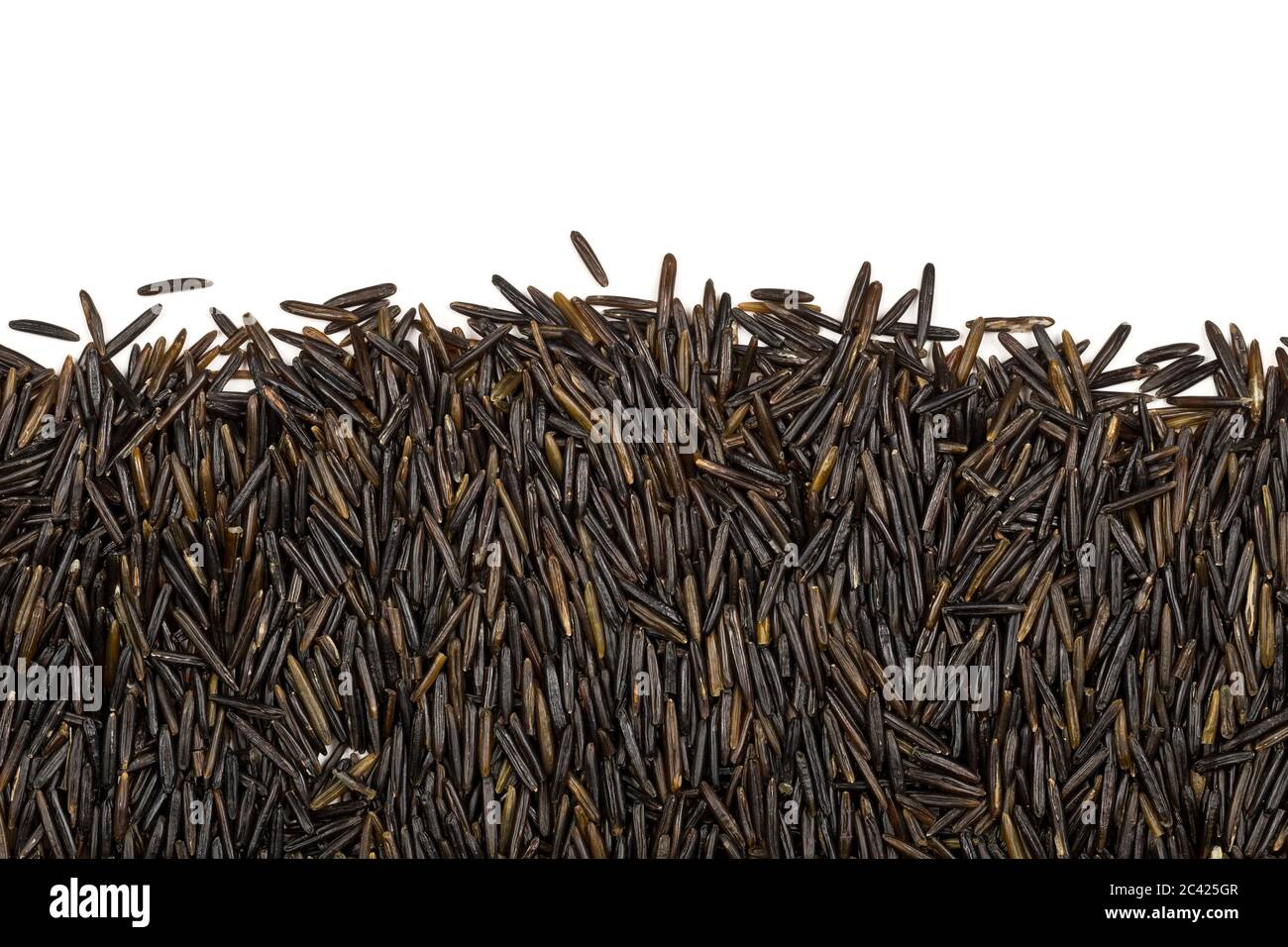 Macro close up of uncooked, raw, black wild rice grains texture border ...