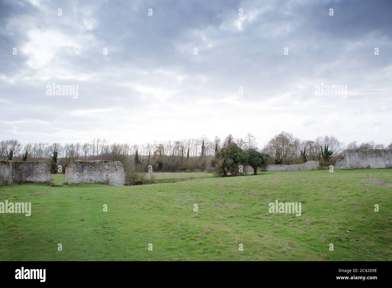 The ruins of Godstow Abbey, also known as Godstow Nunnery, stand in a ...