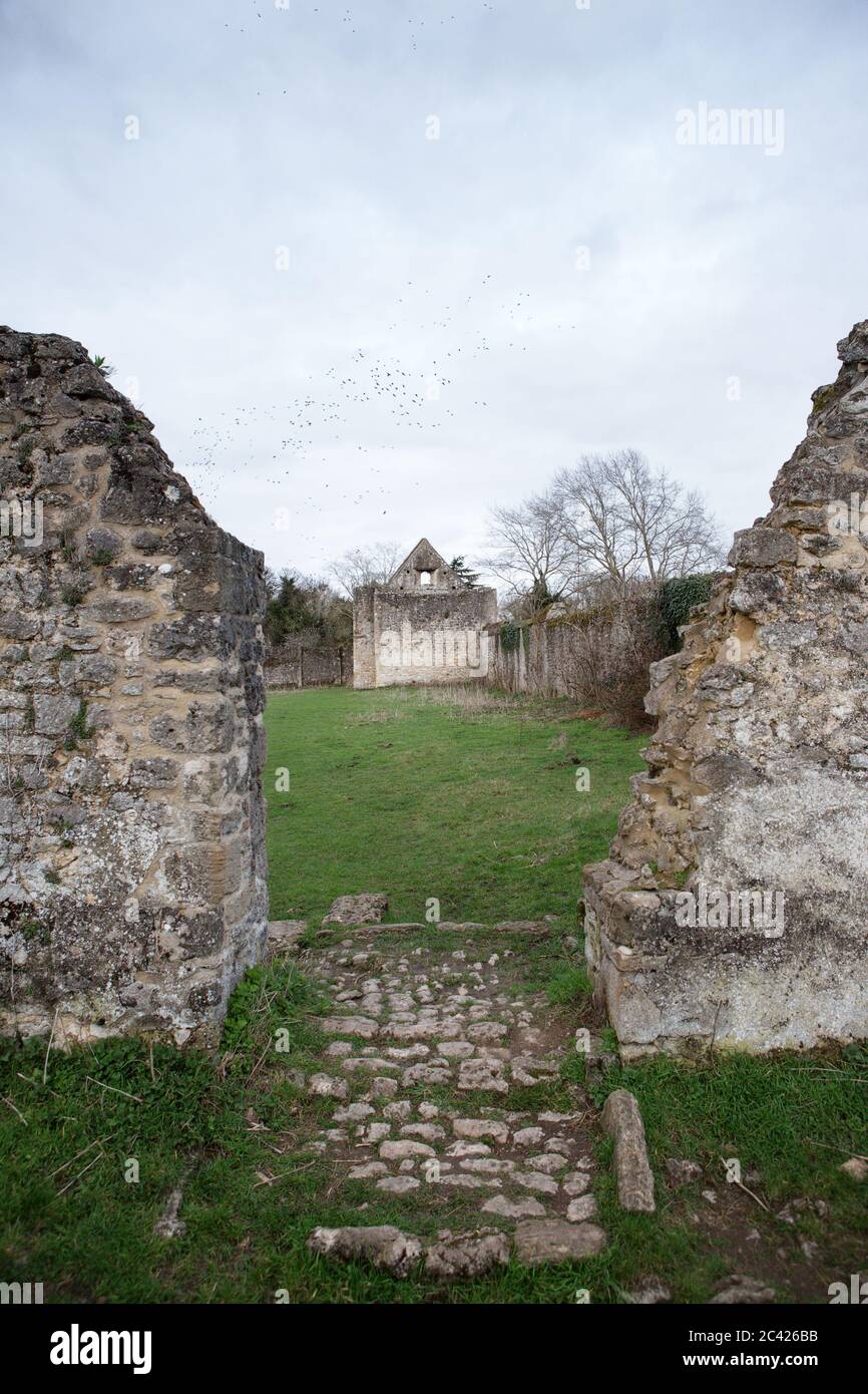 The ruins of Godstow Abbey, also known as Godstow Nunnery, stand in a ...
