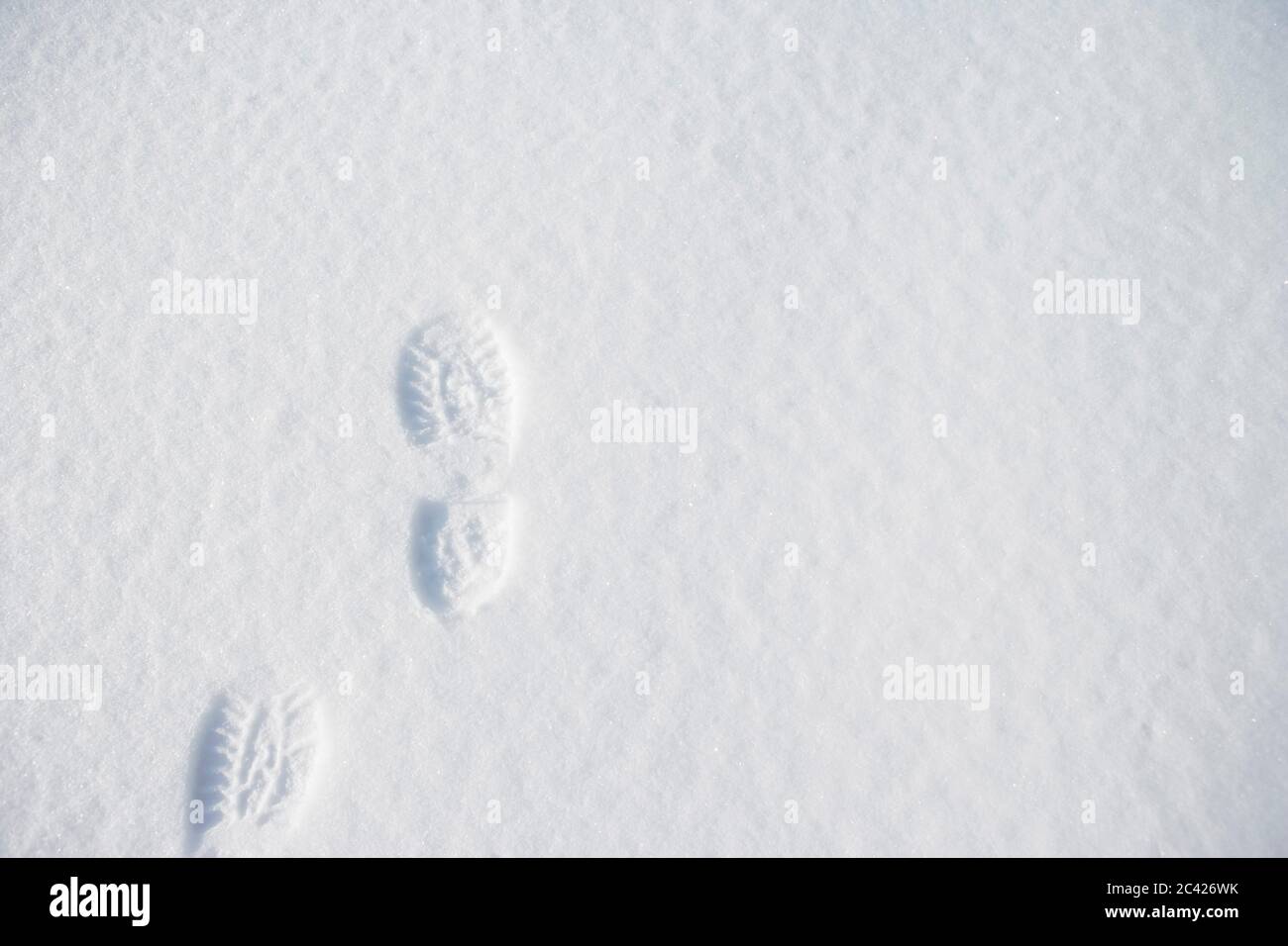 Shoe prints in the snow Stock Photo - Alamy