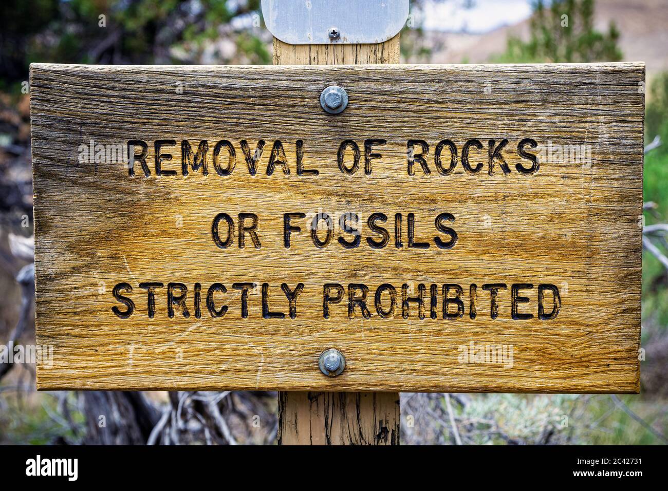 Natural park or site protection law wooden sign closeup. John Day ...