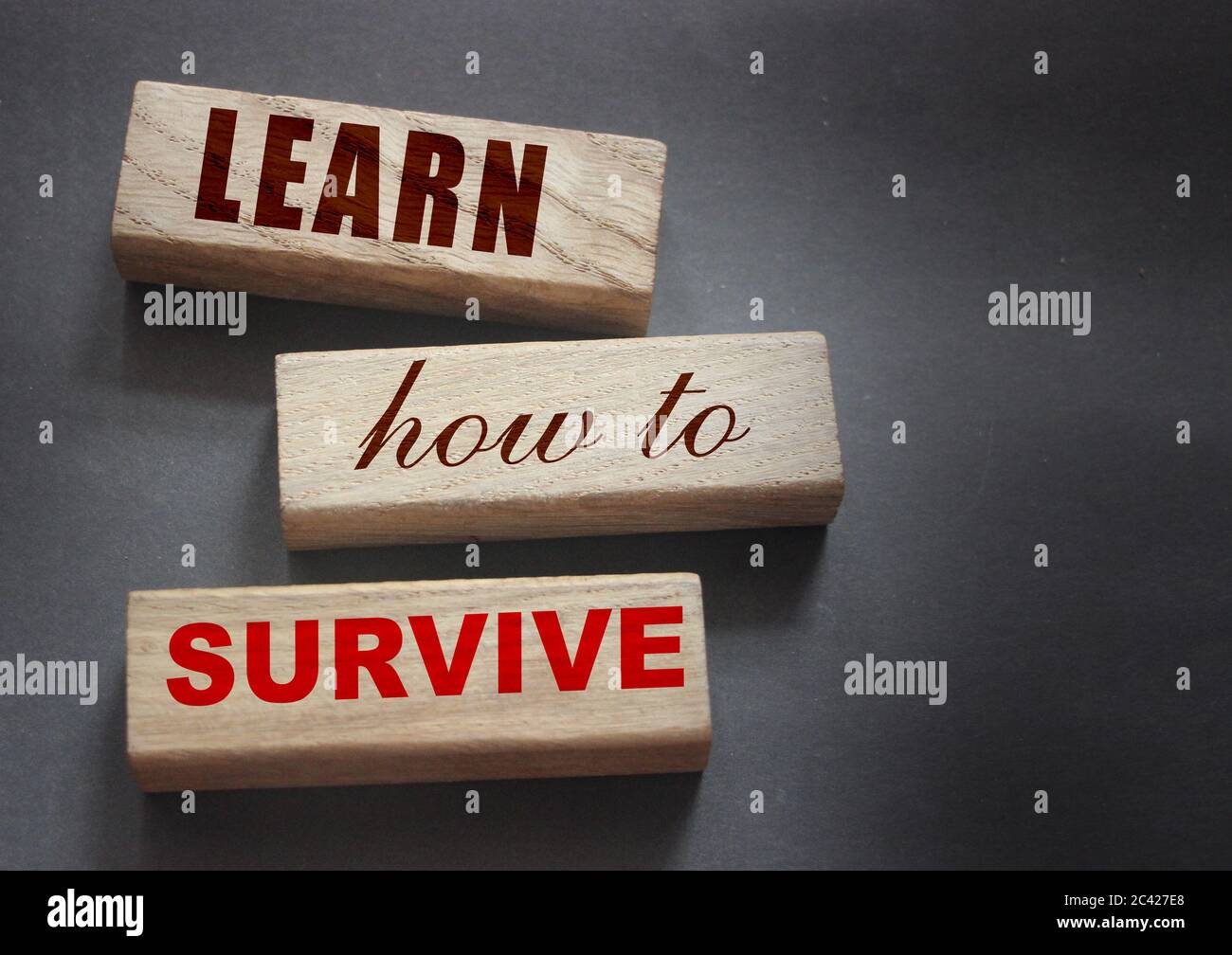 Text on wooden blocks Learn How to Survive. Surviving in crisis times ...