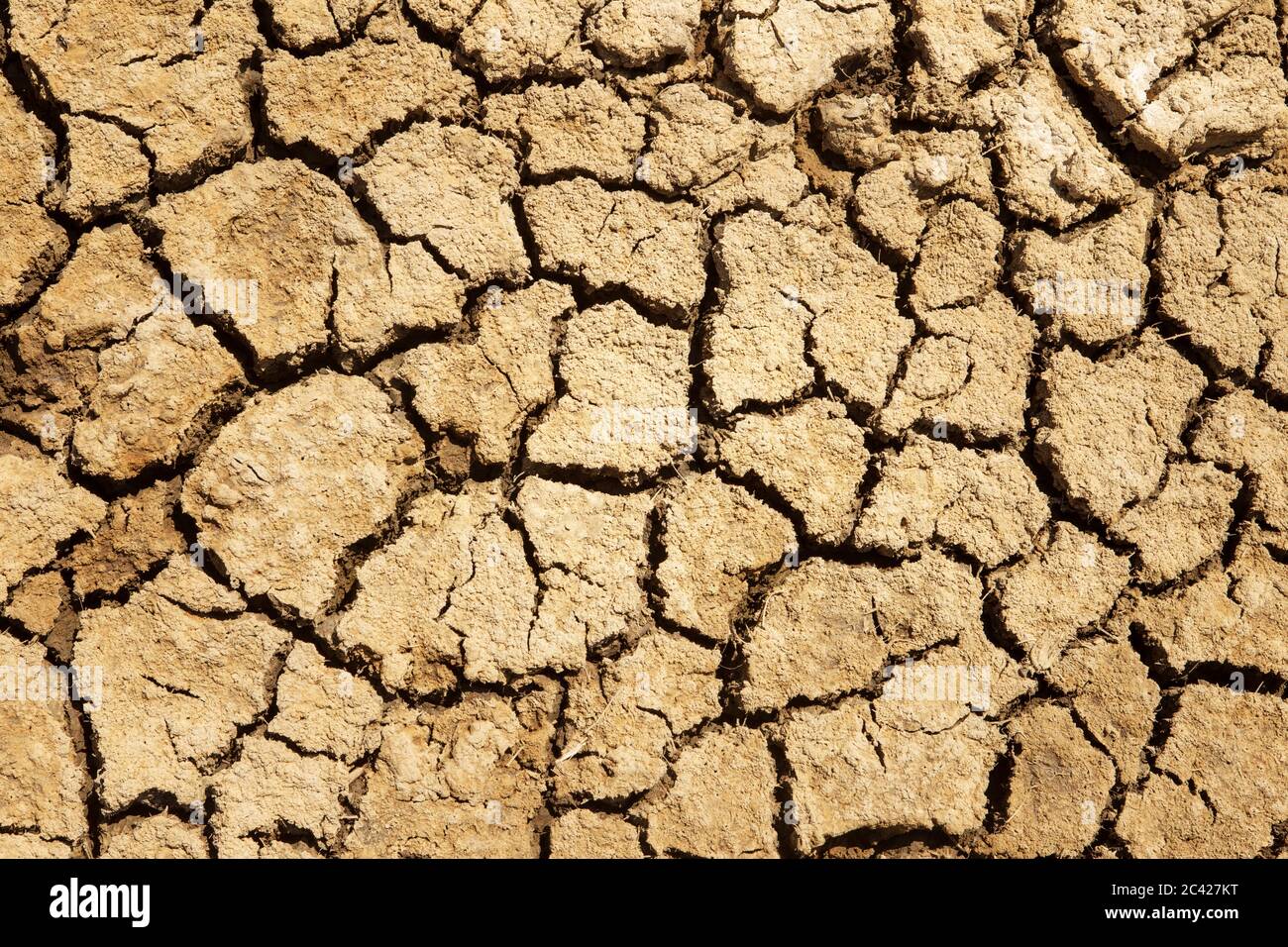 cracked dry mud backdrop Stock Photo - Alamy