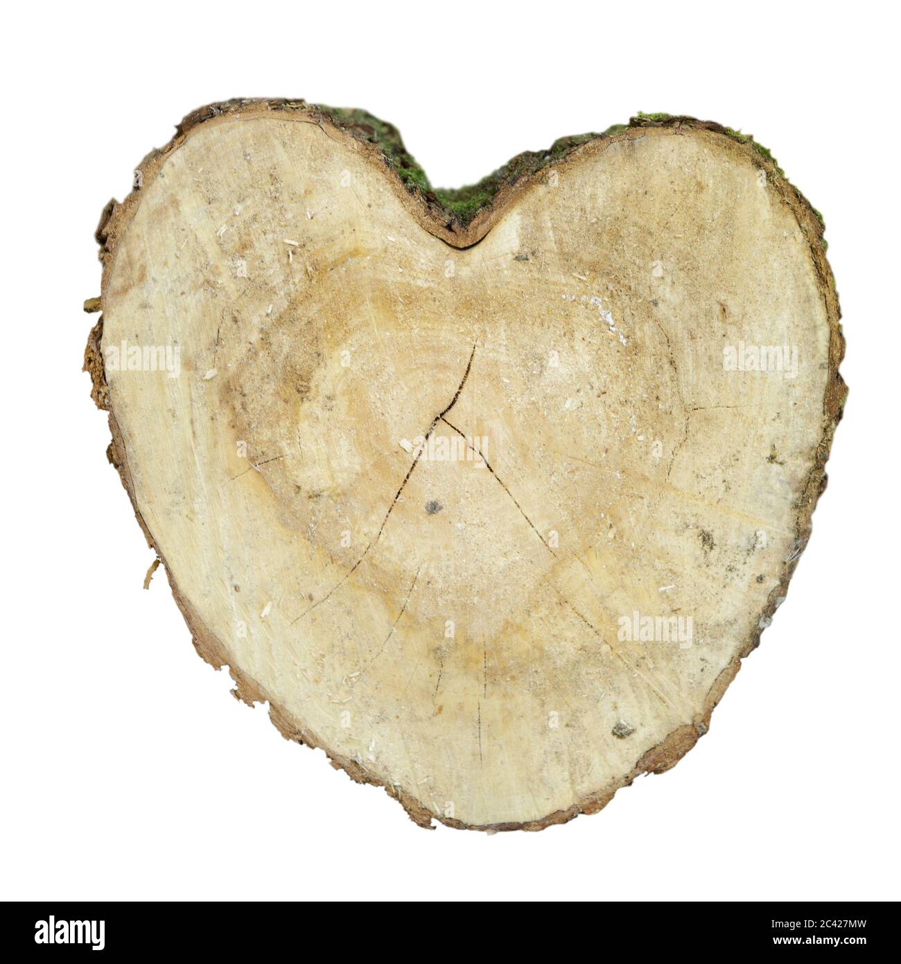 Logging old growth Cut Out Stock Images & Pictures - Alamy
