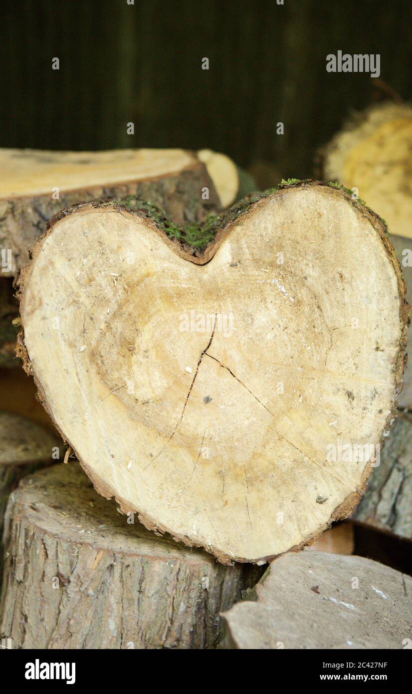 tree logging up with the truck in the shape of a love heart Stock Photo ...