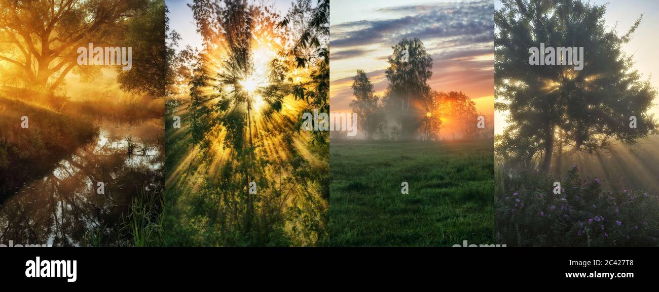 Collage of spring landscapes. collection of photos with morning ...