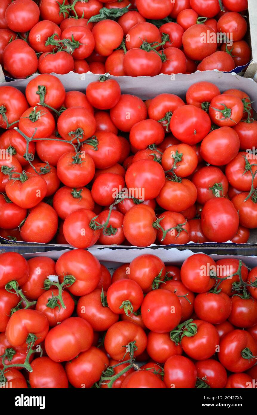 Tomato harvest crates hi-res stock photography and images - Alamy