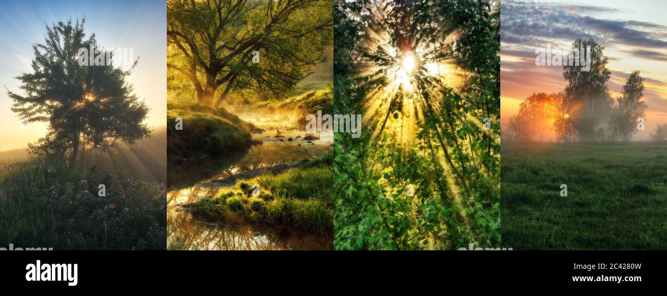 Collage of spring landscapes. collection of photos with morning ...
