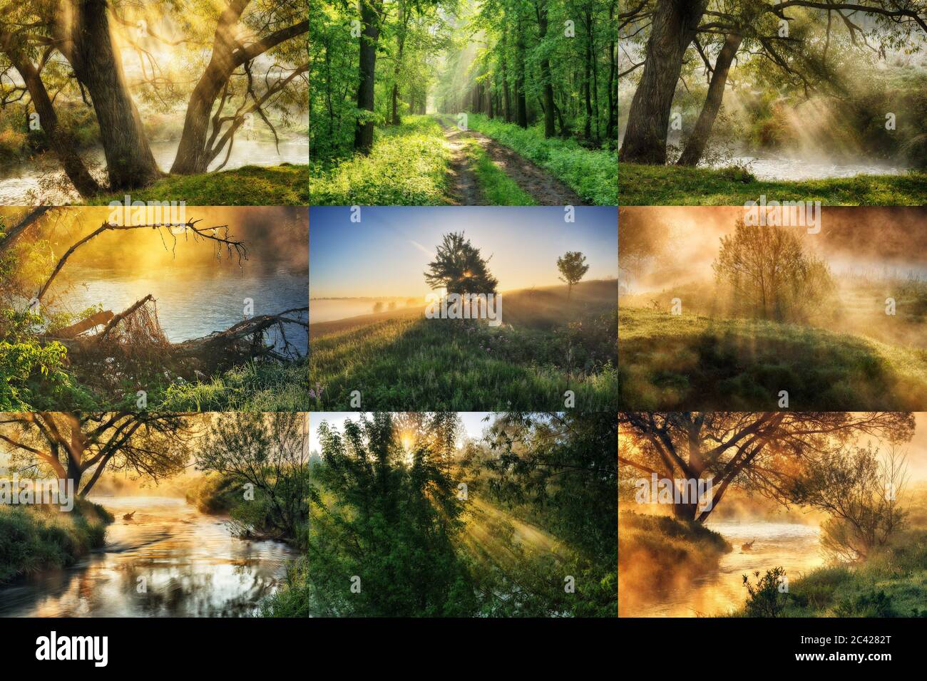 Collage of spring landscapes. collection of photos with morning ...