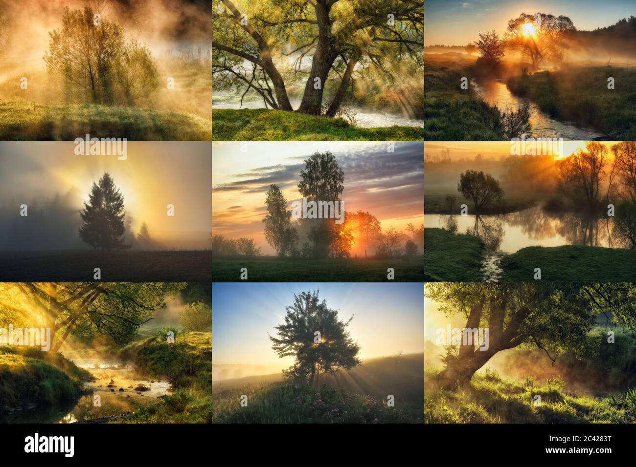 Collage of spring landscapes. collection of photos with morning ...