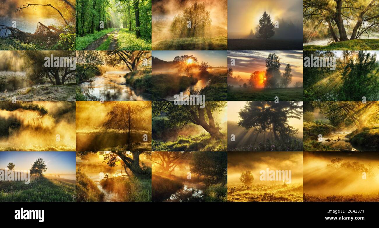 Collage of spring landscapes. collection of photos with morning ...