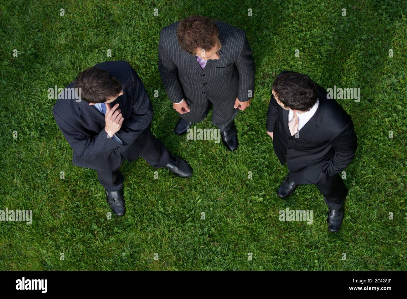 Three businessmen are standing on a lawn - talking Stock Photo - Alamy