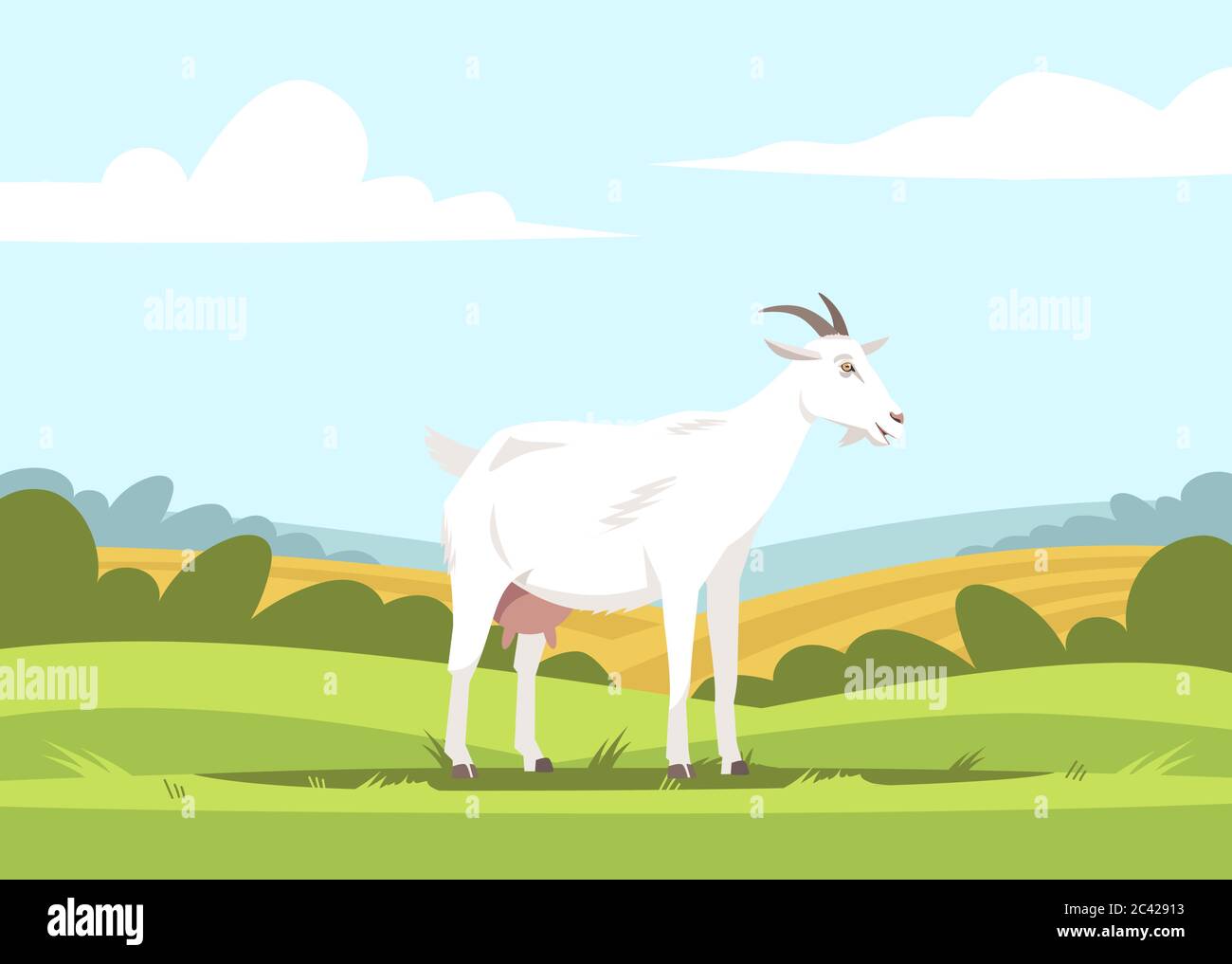 Milk goat on farmland semi flat vector illustration Stock Vector Image ...