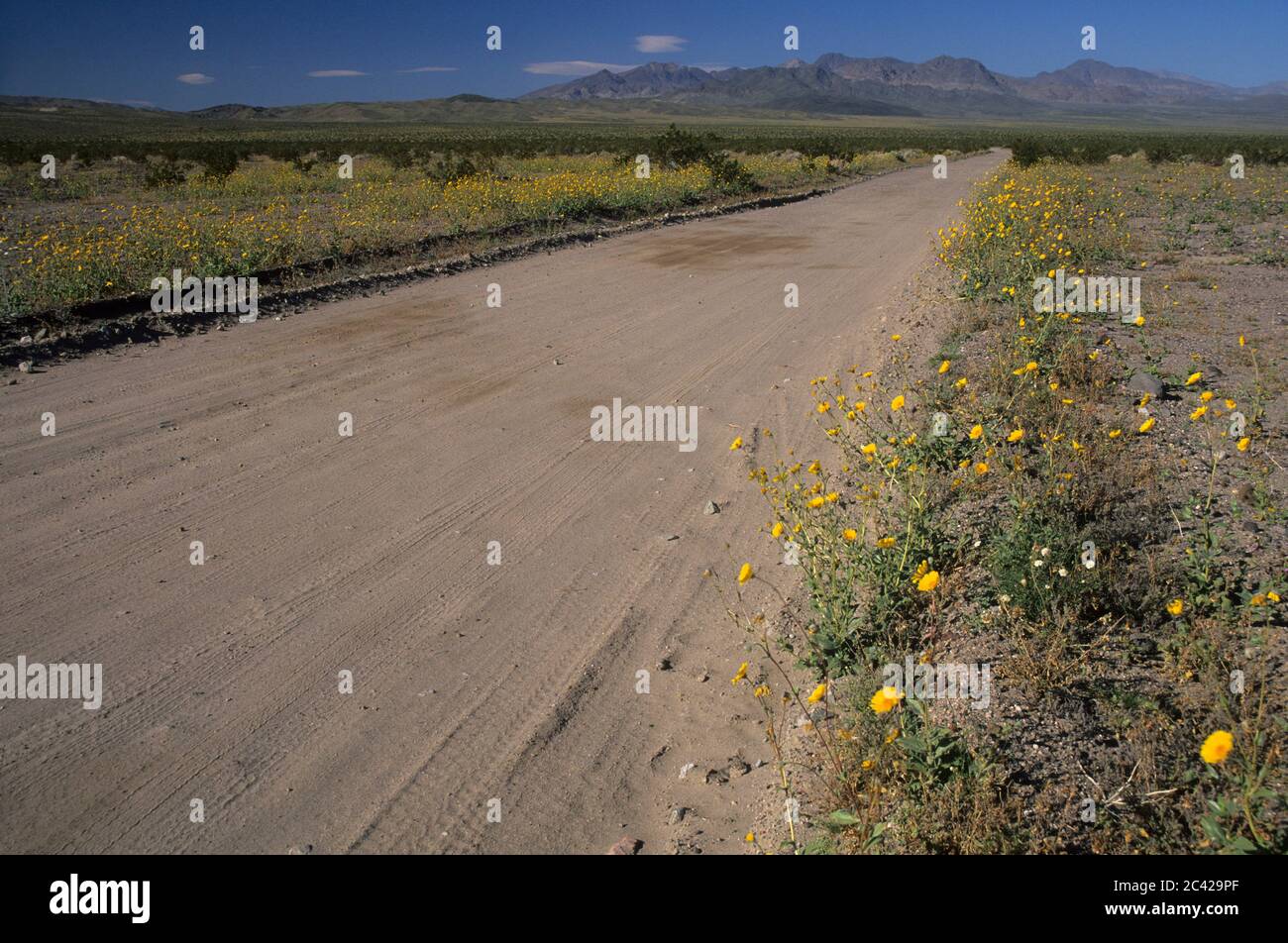West side road hi-res stock photography and images - Alamy