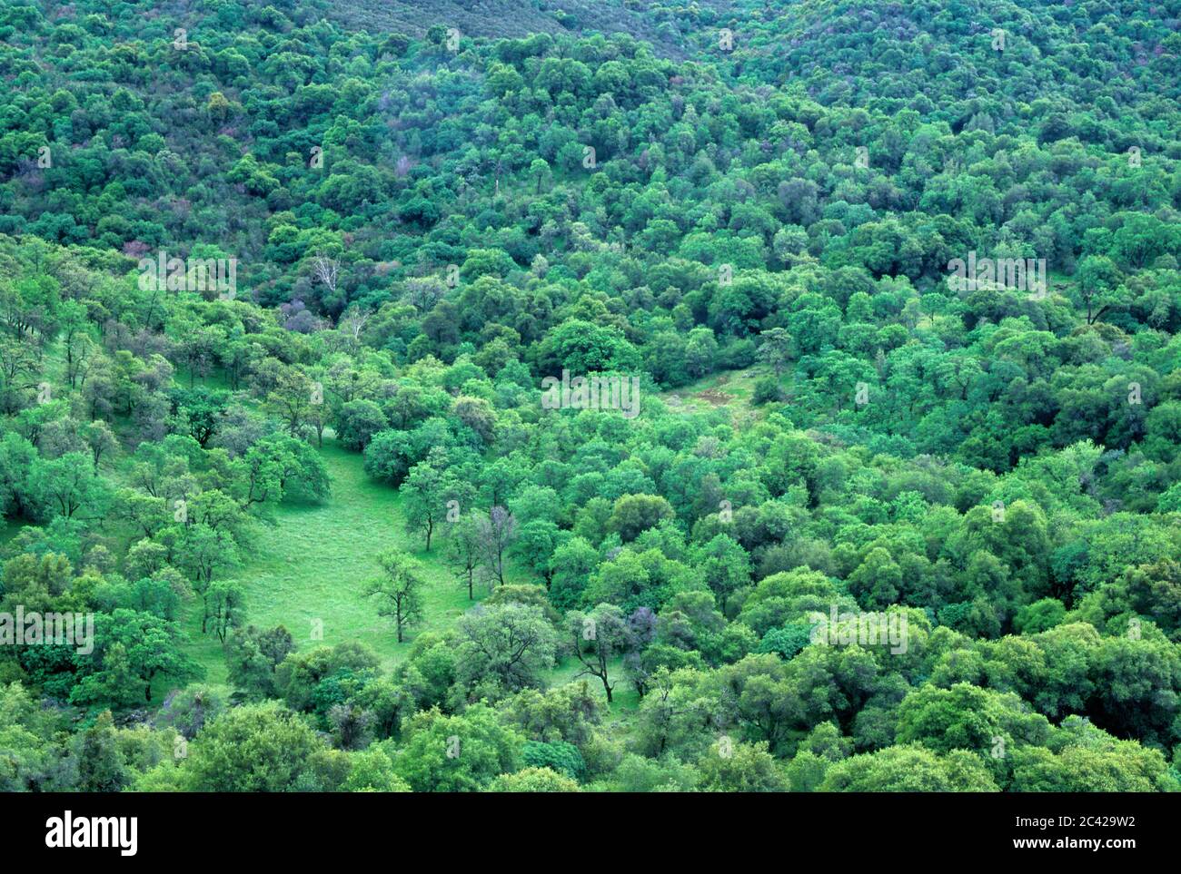 Kaweah River canyon, Sequoia National Park, California Stock Photo - Alamy
