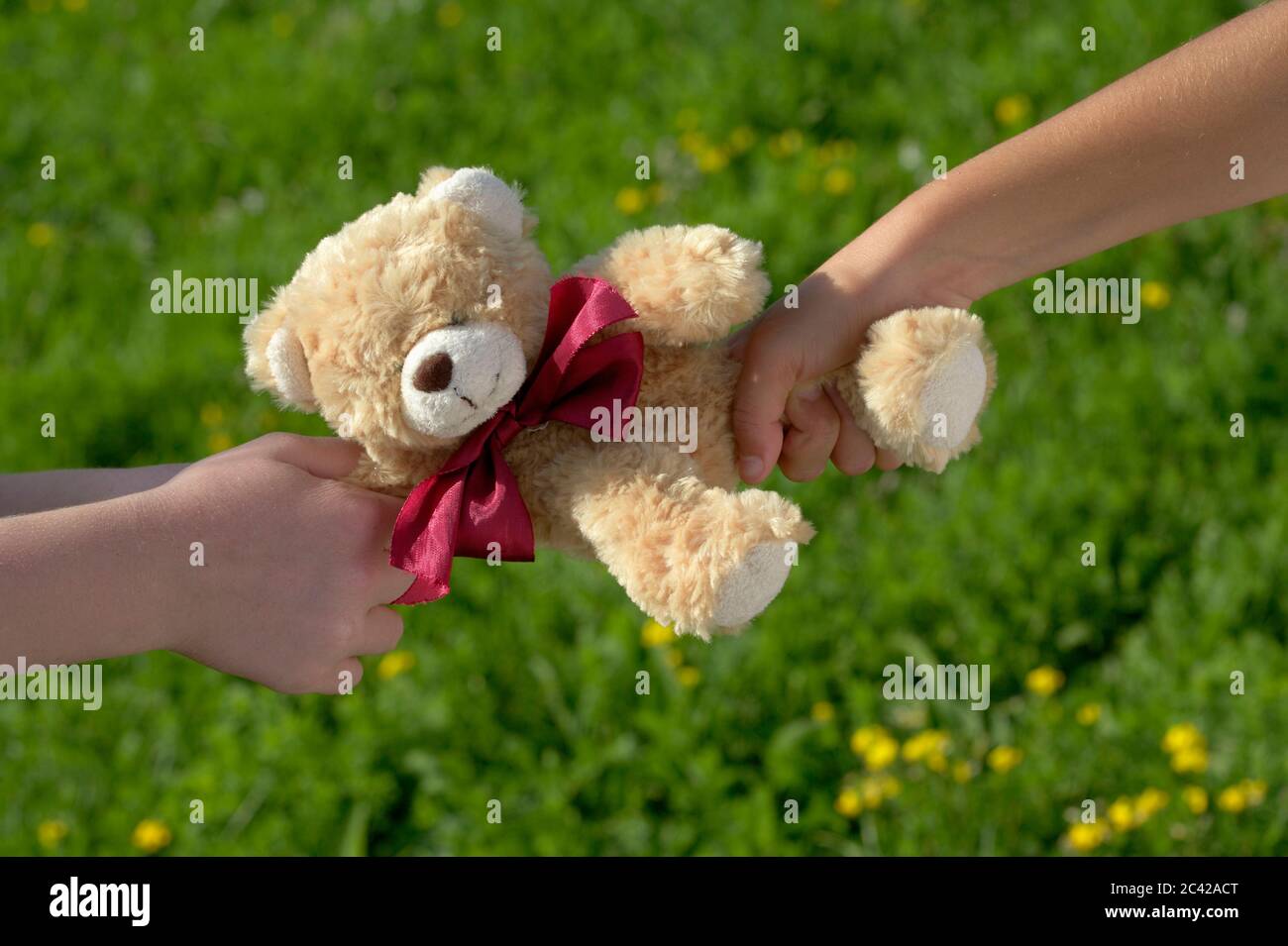 Two children are fighting over a teddy bear Stock Photo - Alamy
