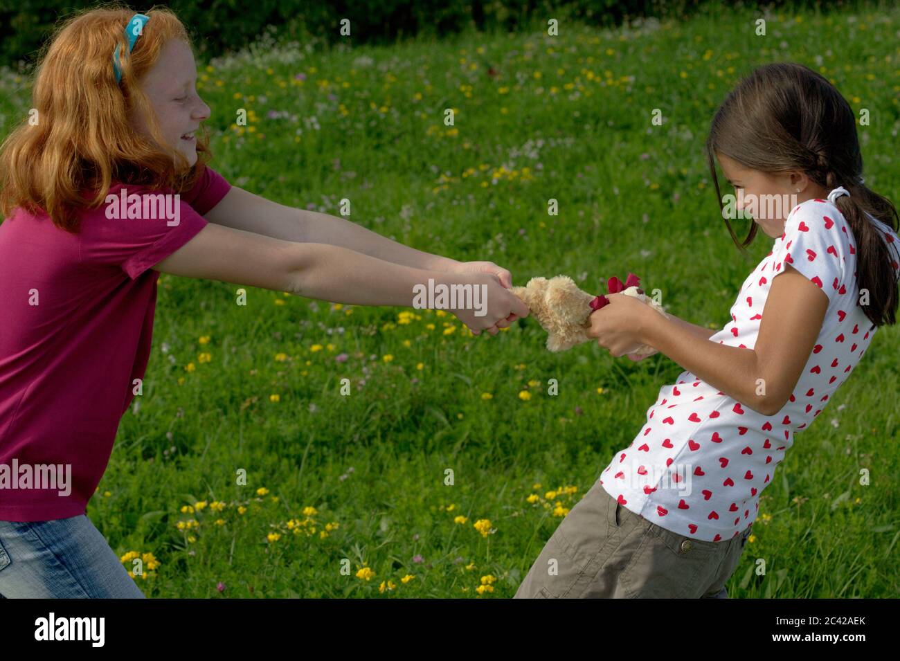 Two girls fight over a teddy bear Stock Photo - Alamy