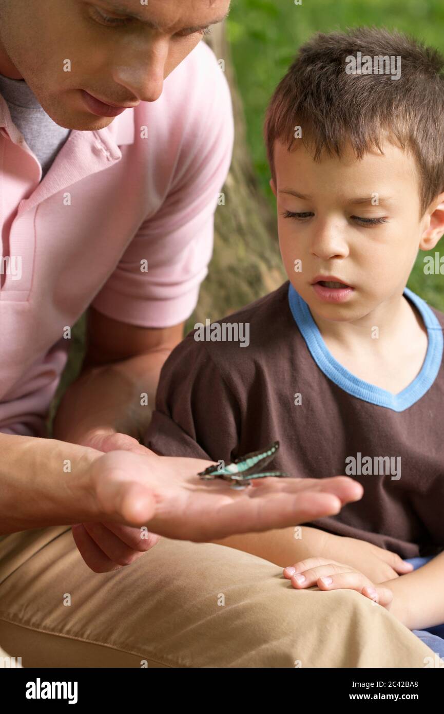 Father and son (4 years) watch an insect Stock Photo - Alamy