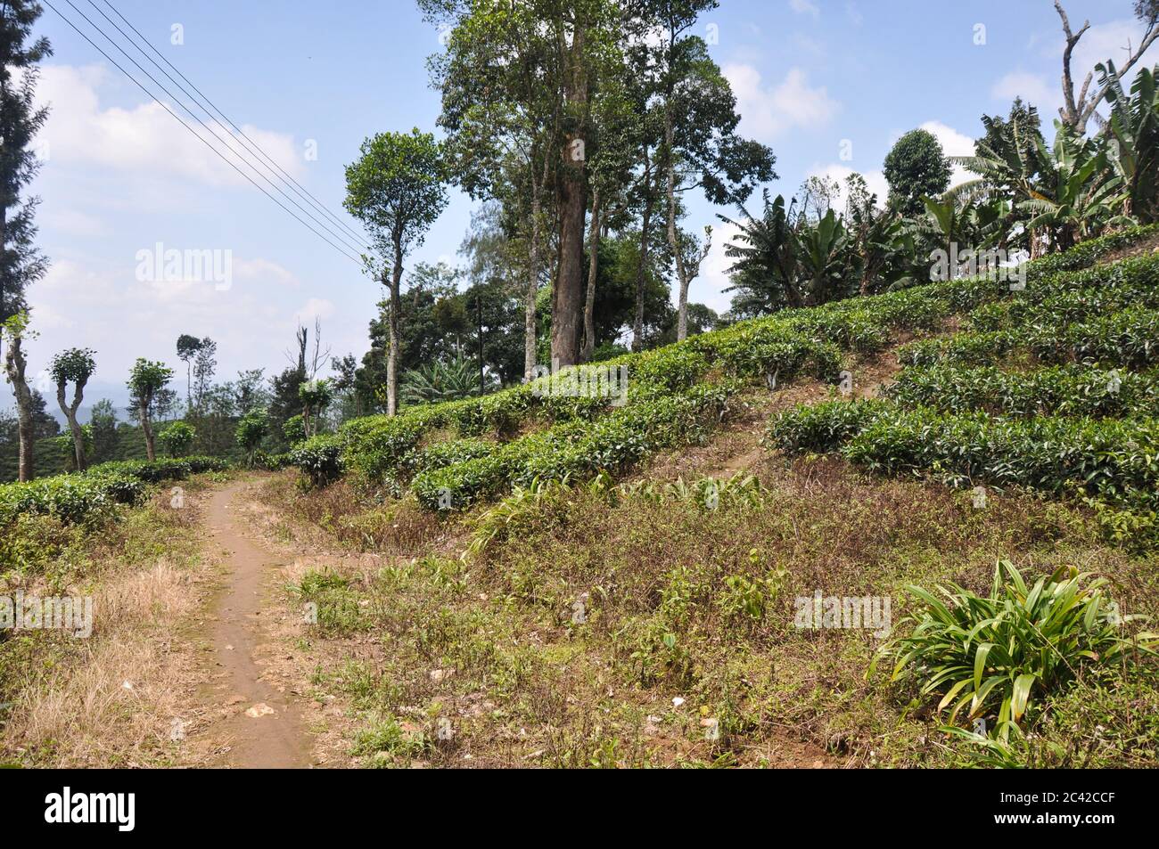 The Knuckles Mountain Range, Sri Lanka Stock Photo - Alamy