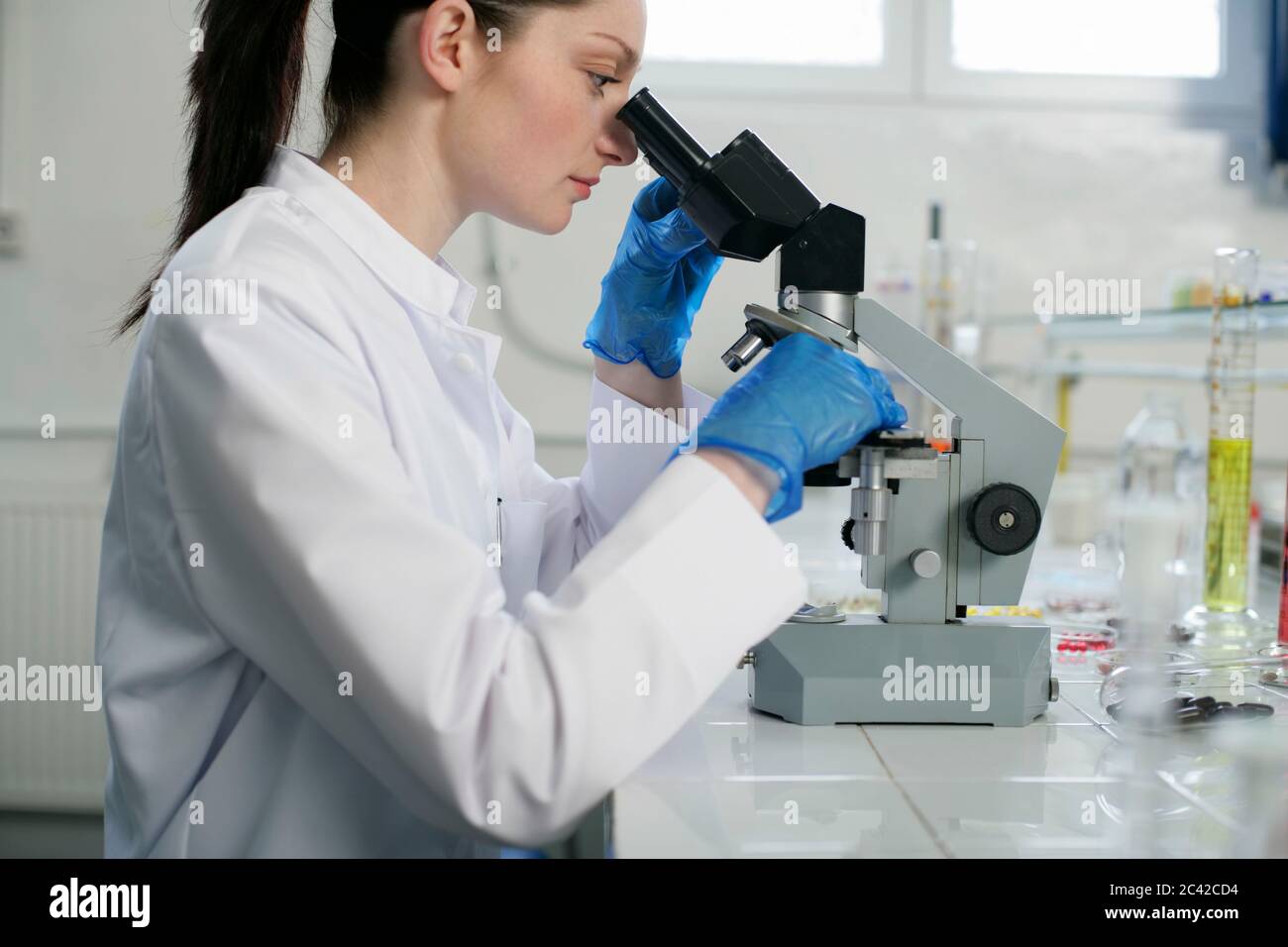 Looks through a microscope hi-res stock photography and images - Alamy