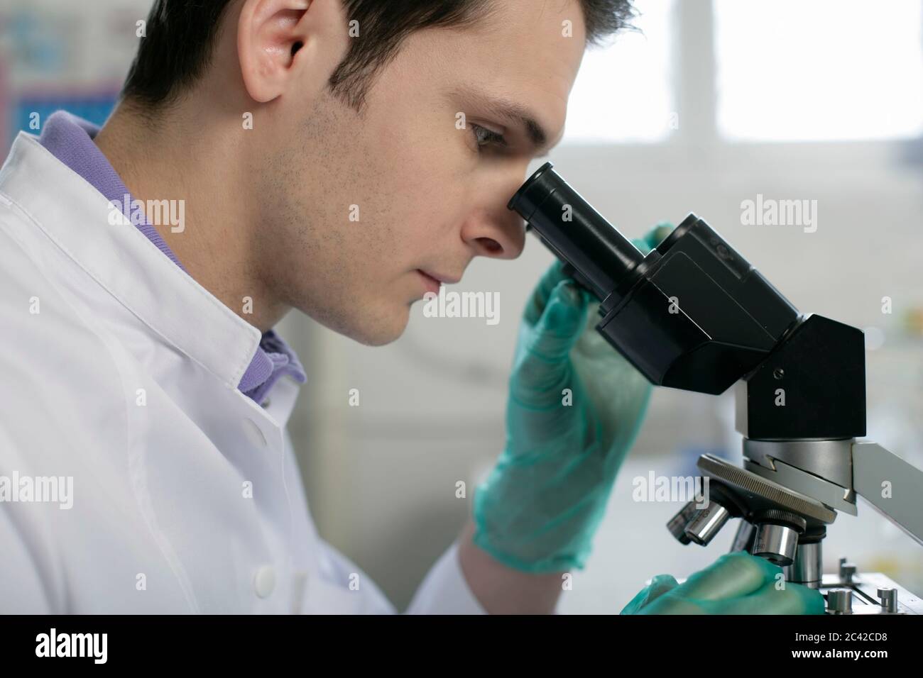Laboratory worker looks through a microscope Stock Photo - Alamy