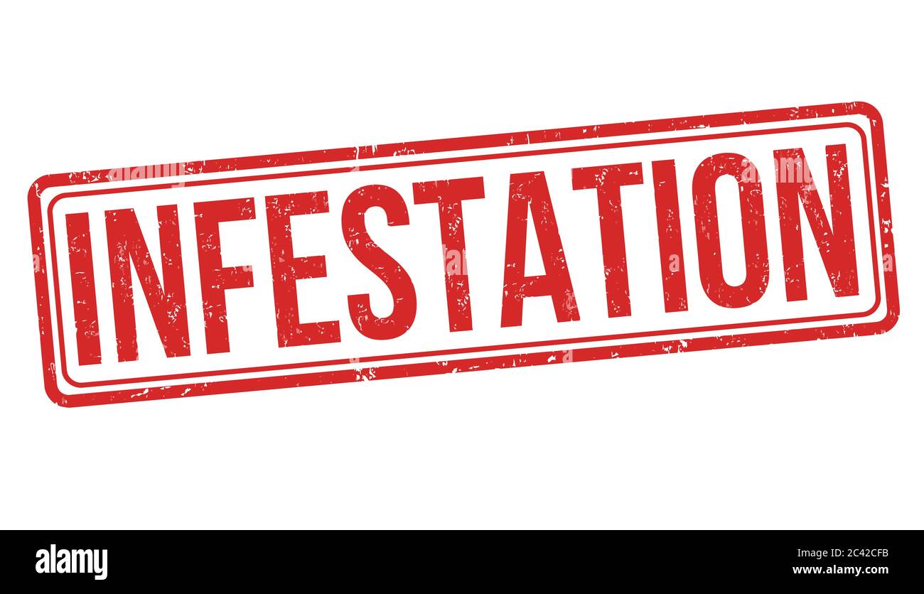 Infestation sign or stamp on white background, vector illustration ...