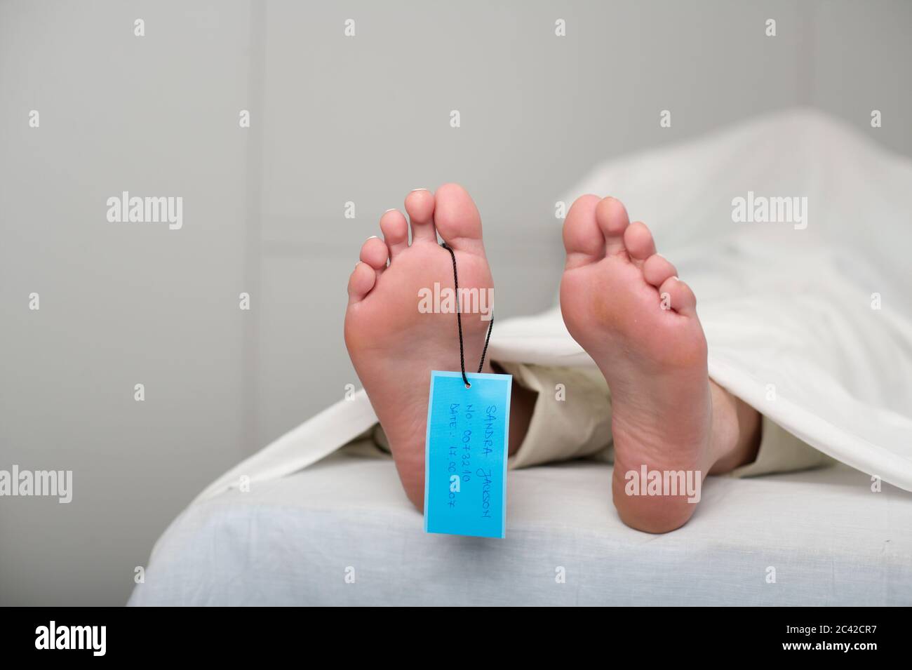 Woman's feet with toe shield Stock Photo - Alamy