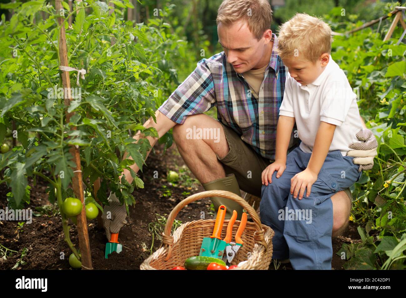 Father and son gardening Stock Photo - Alamy