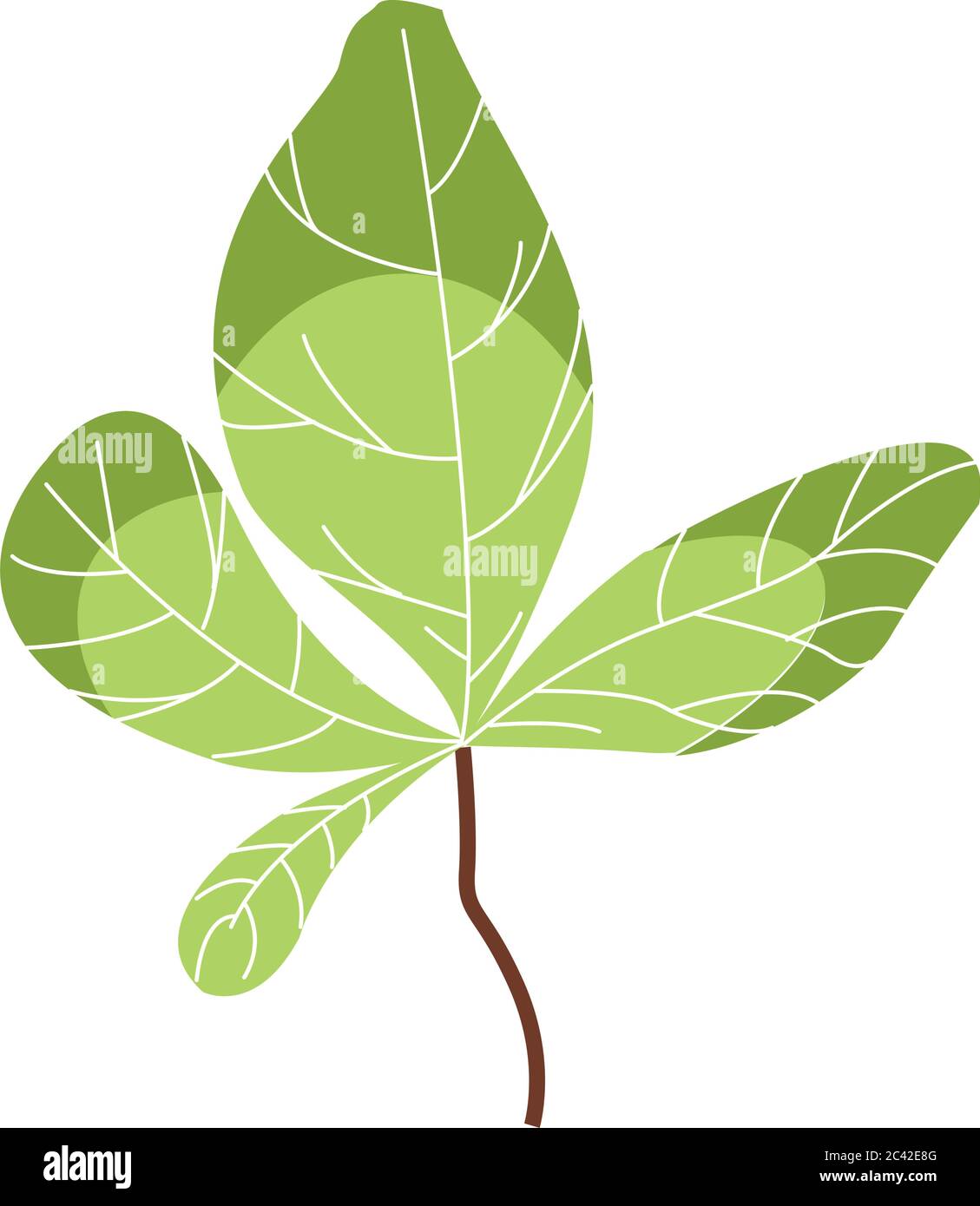 Isolated natural leaf design of Floral nature plant garden ornament ...