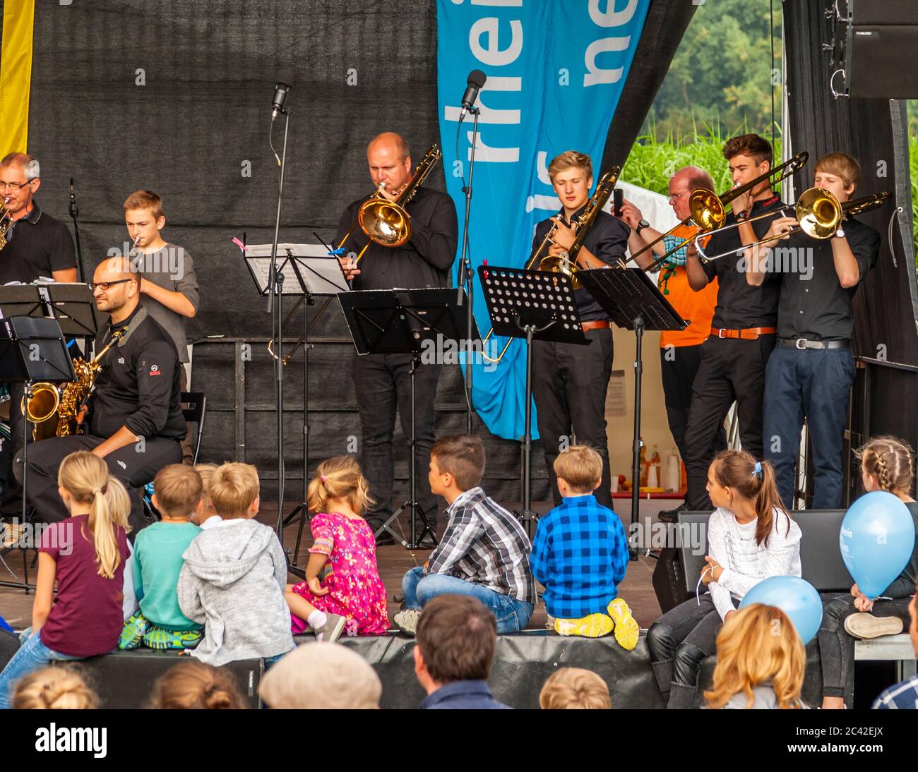 Plucked musical instruments hi-res stock photography and images - Alamy