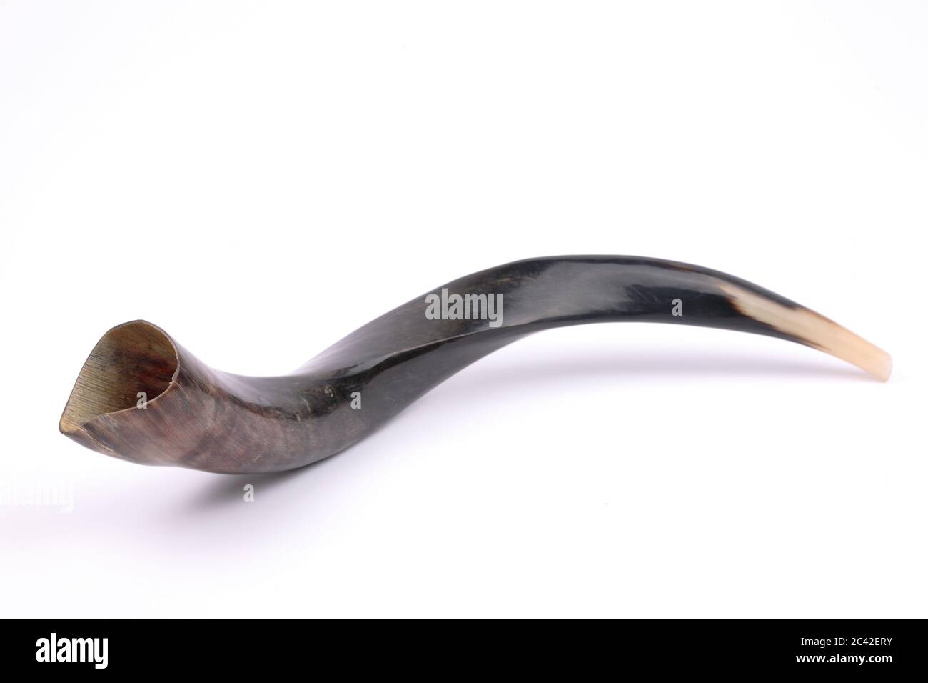Shofar - a horn used in jewish holidays of Rosh Hashana and Yom Kippur ...